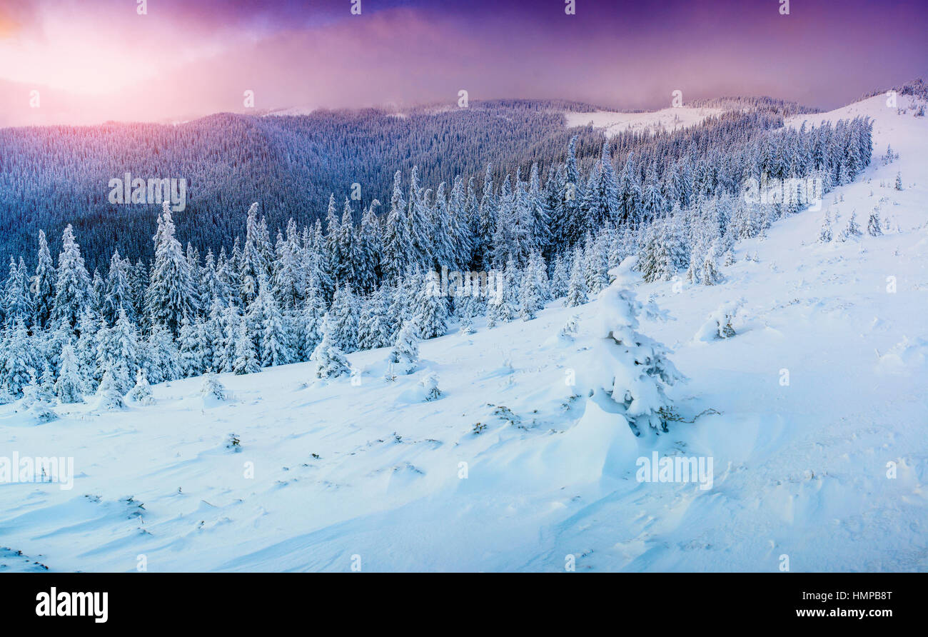sunny winter landscape Stock Photo - Alamy
