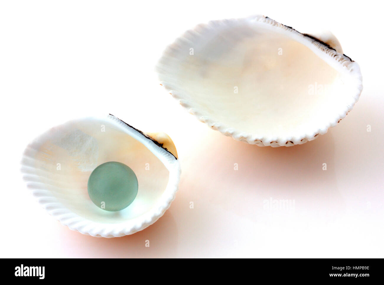 Shells with pearl isolated on white Stock Photo - Alamy