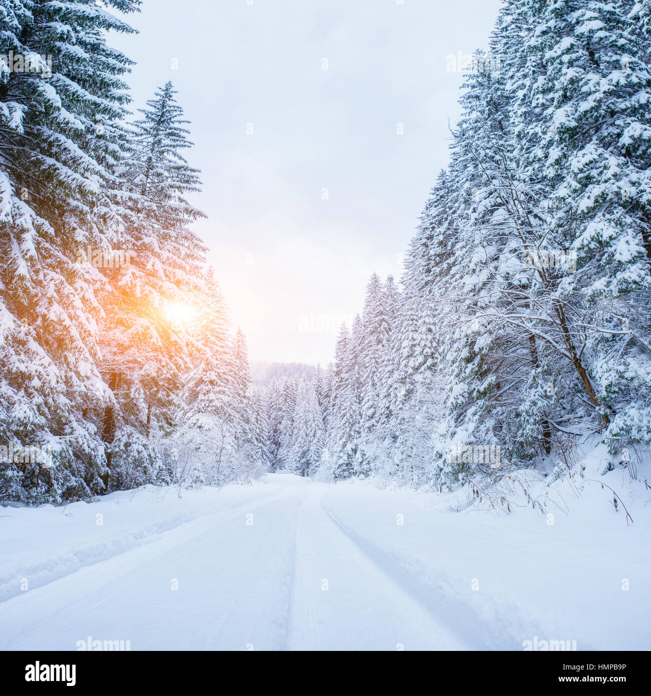 winter landscape road Stock Photo - Alamy