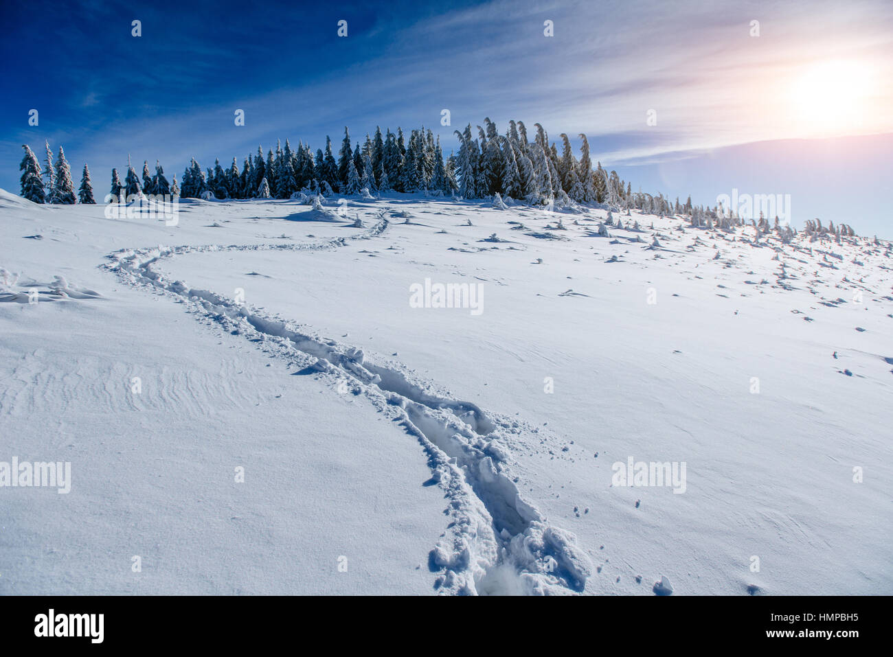 deep footprints in the snow Stock Photo - Alamy