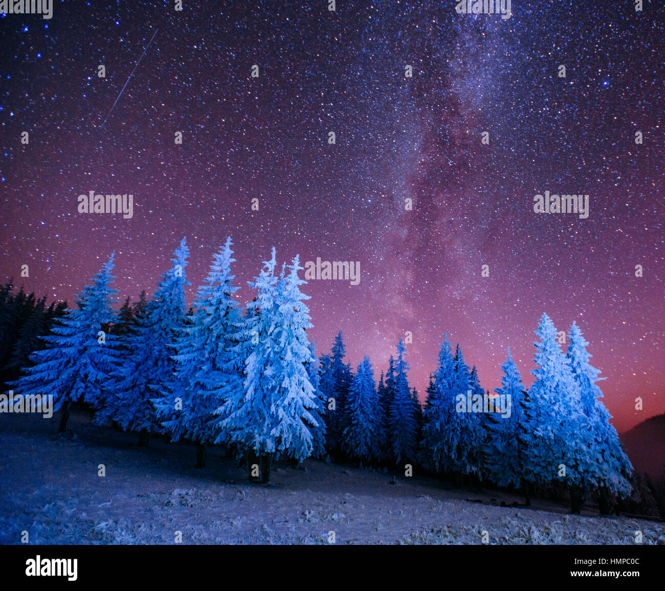 magic tree in starry winter night Stock Photo - Alamy