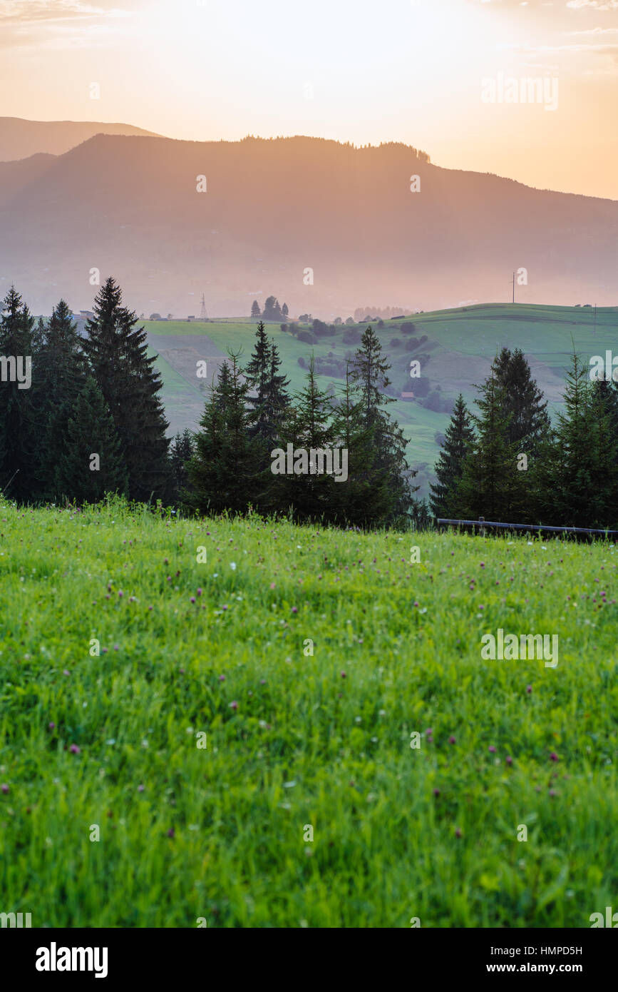 Colorful summer landscape Stock Photo - Alamy