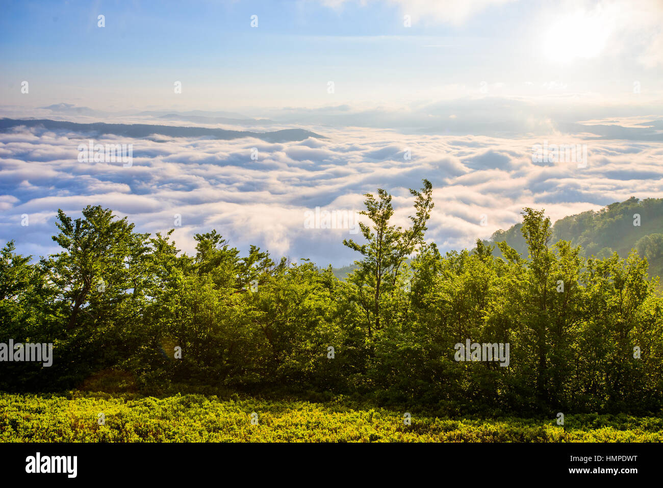 majestic white clouds below Stock Photo - Alamy