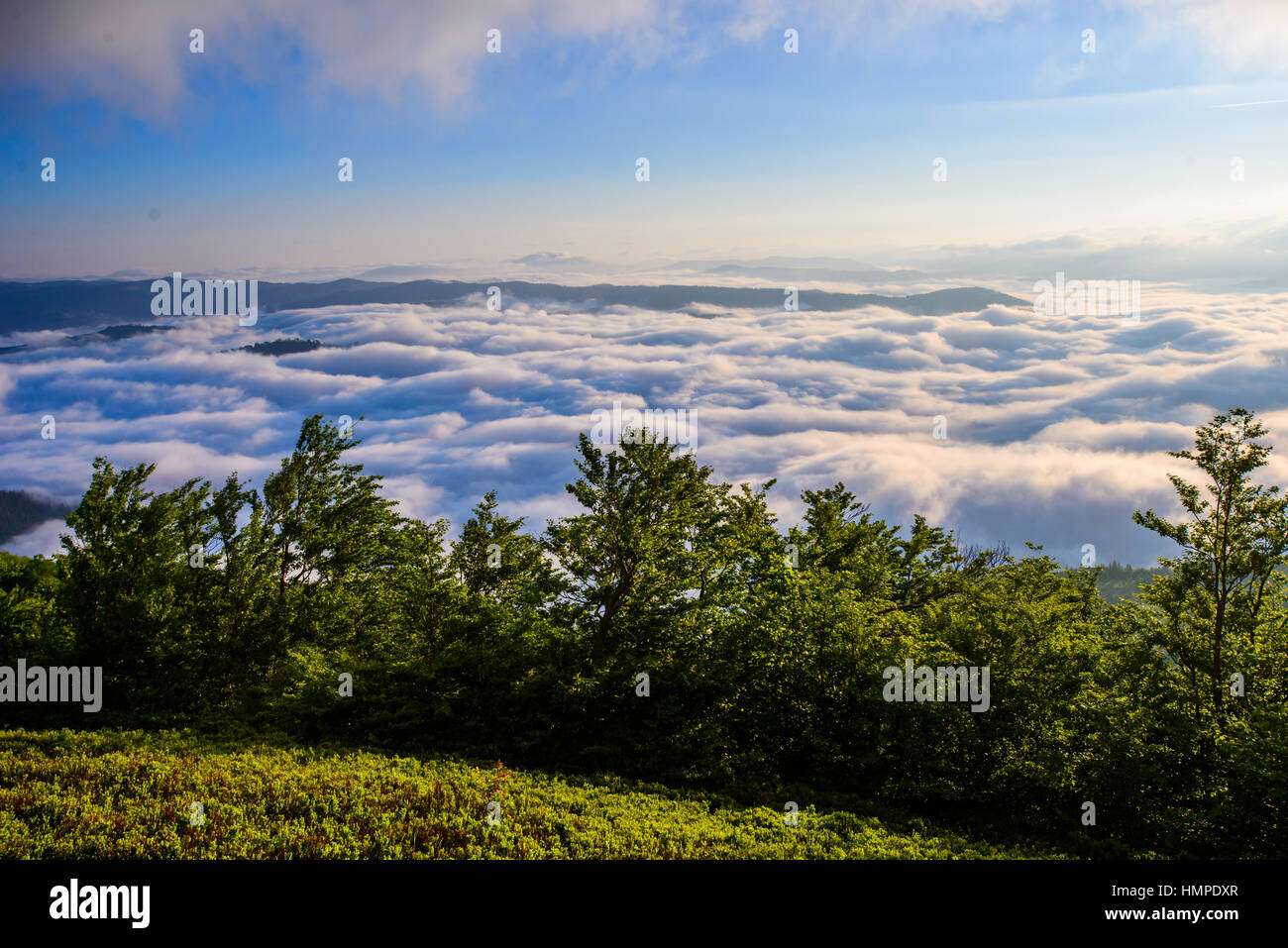 majestic white clouds below Stock Photo - Alamy