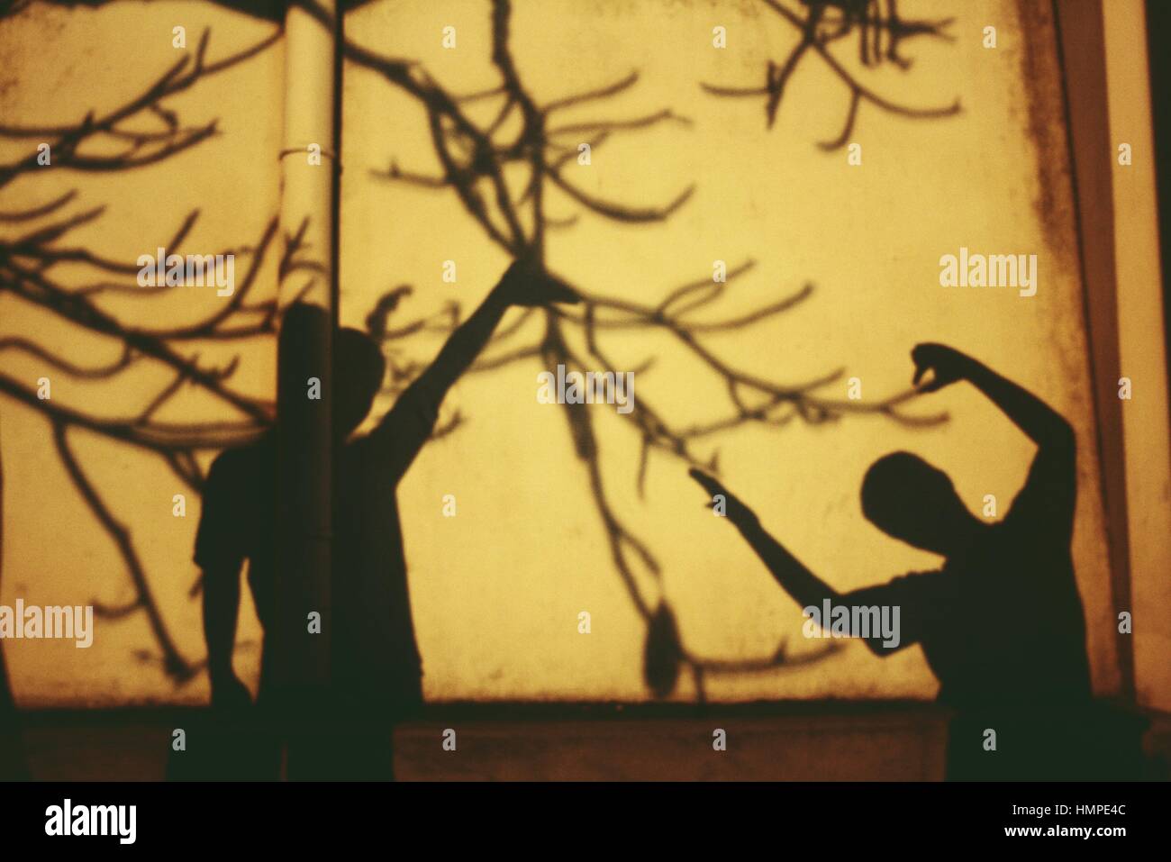 playing the shadow Stock Photo - Alamy