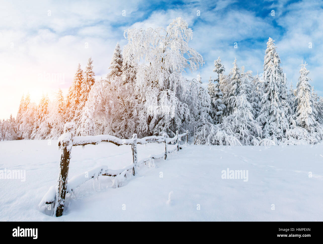 winter landscape trees in frost Stock Photo - Alamy
