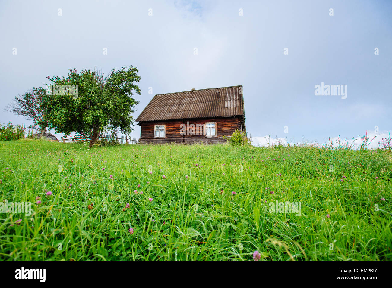 landscape with colorful tree and house Stock Photo - Alamy
