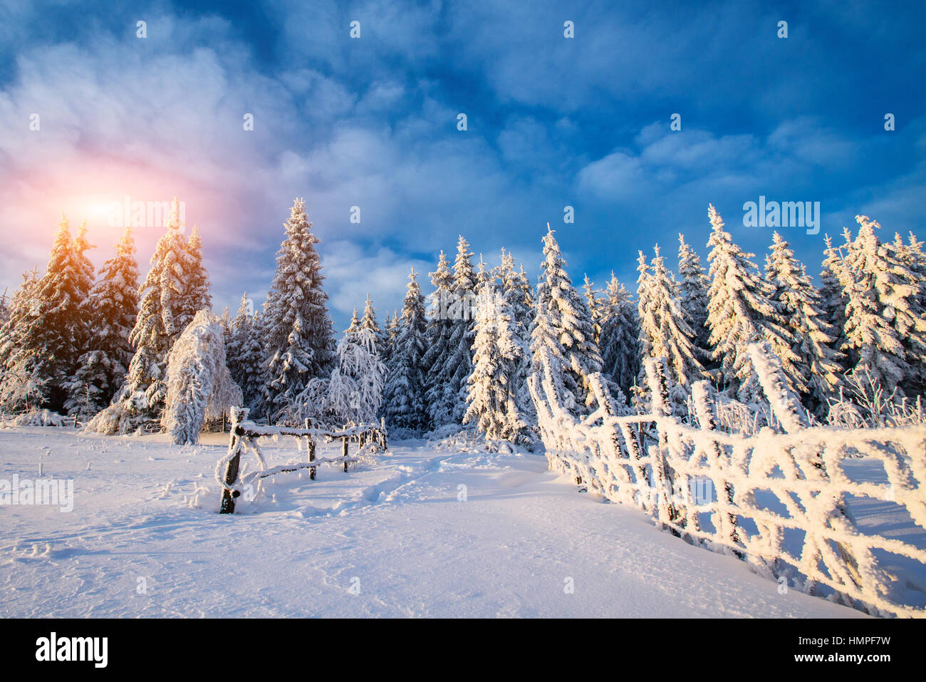 winter landscape trees in frost Stock Photo - Alamy
