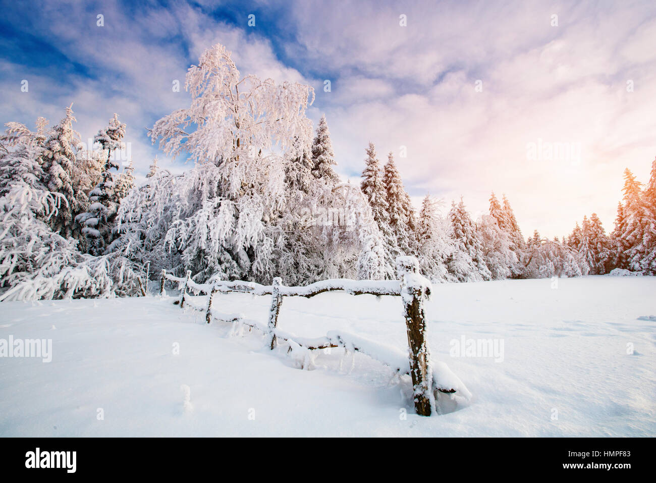 winter landscape trees in frost Stock Photo - Alamy