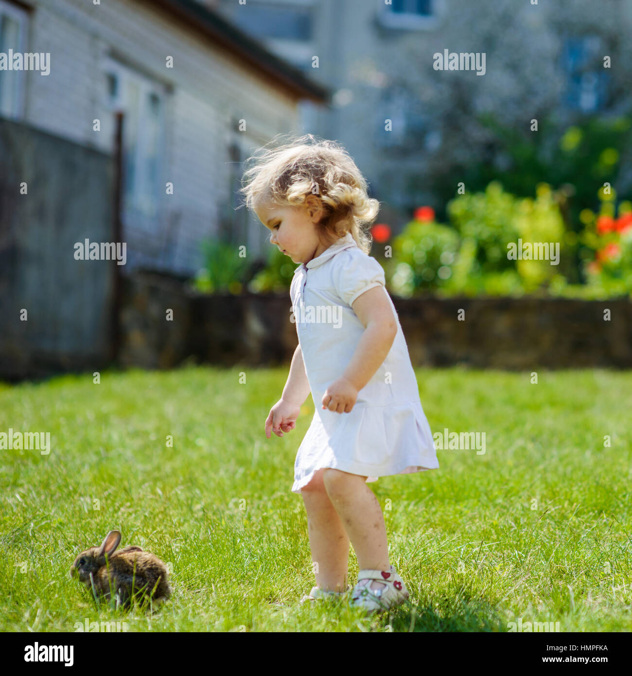 child with a rabbit Stock Photo - Alamy