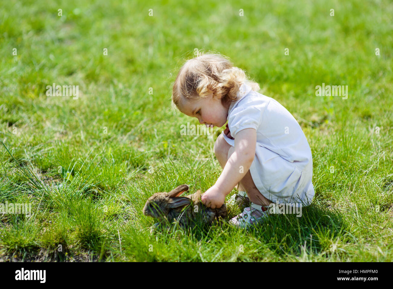 child with a rabbit Stock Photo - Alamy