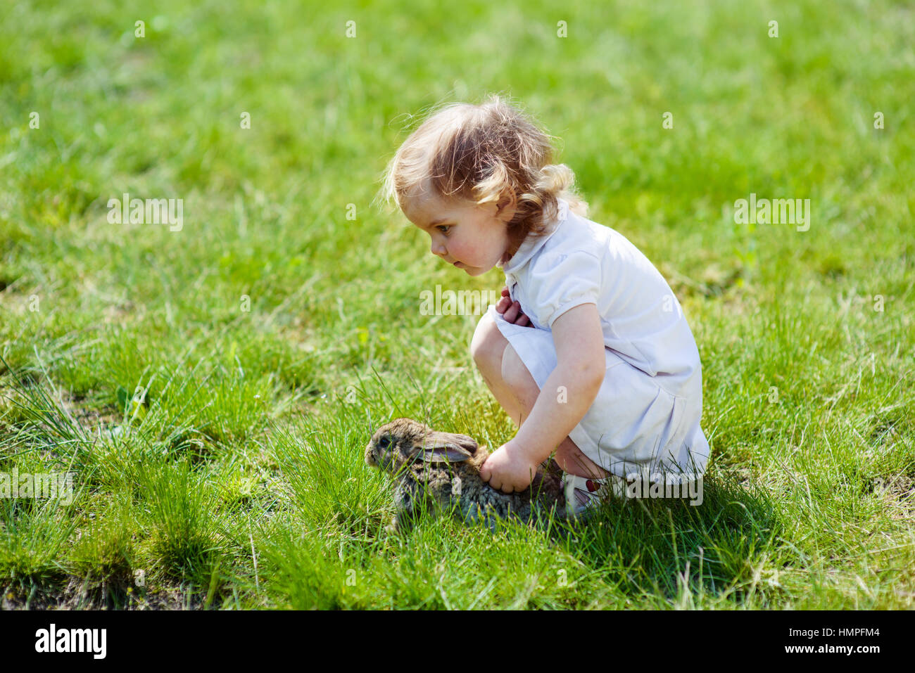 child with a rabbit Stock Photo - Alamy