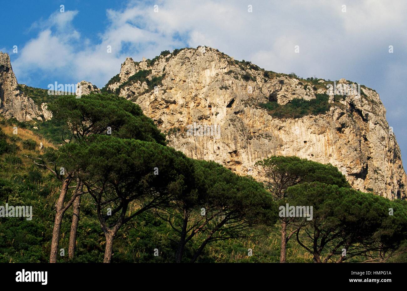 Mediterranean scrubland, Capo d'Orso, Amalfi coast (Unesco World ...