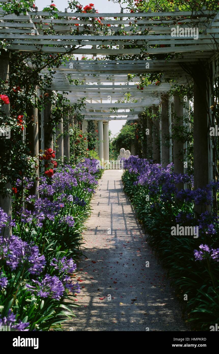Path covered by a pergola Stock Photo - Alamy