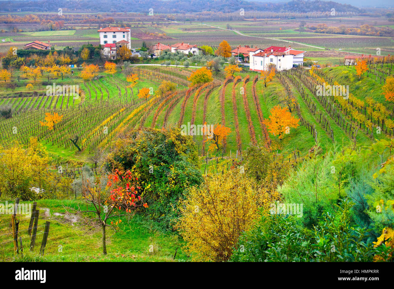 Friuli venezia giulia winery hi-res stock photography and images - Alamy