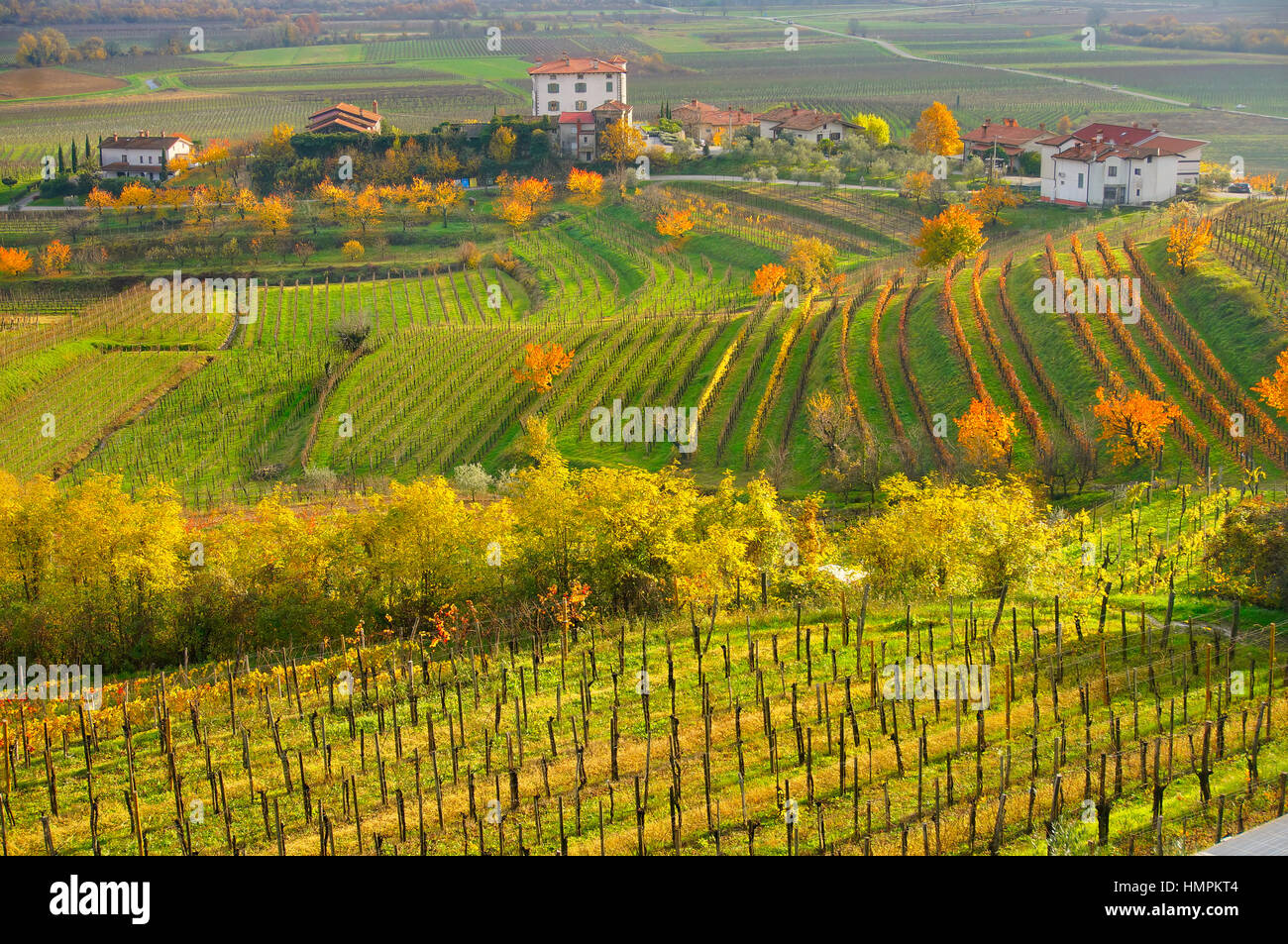 Dolegna collio hi-res stock photography and images - Alamy