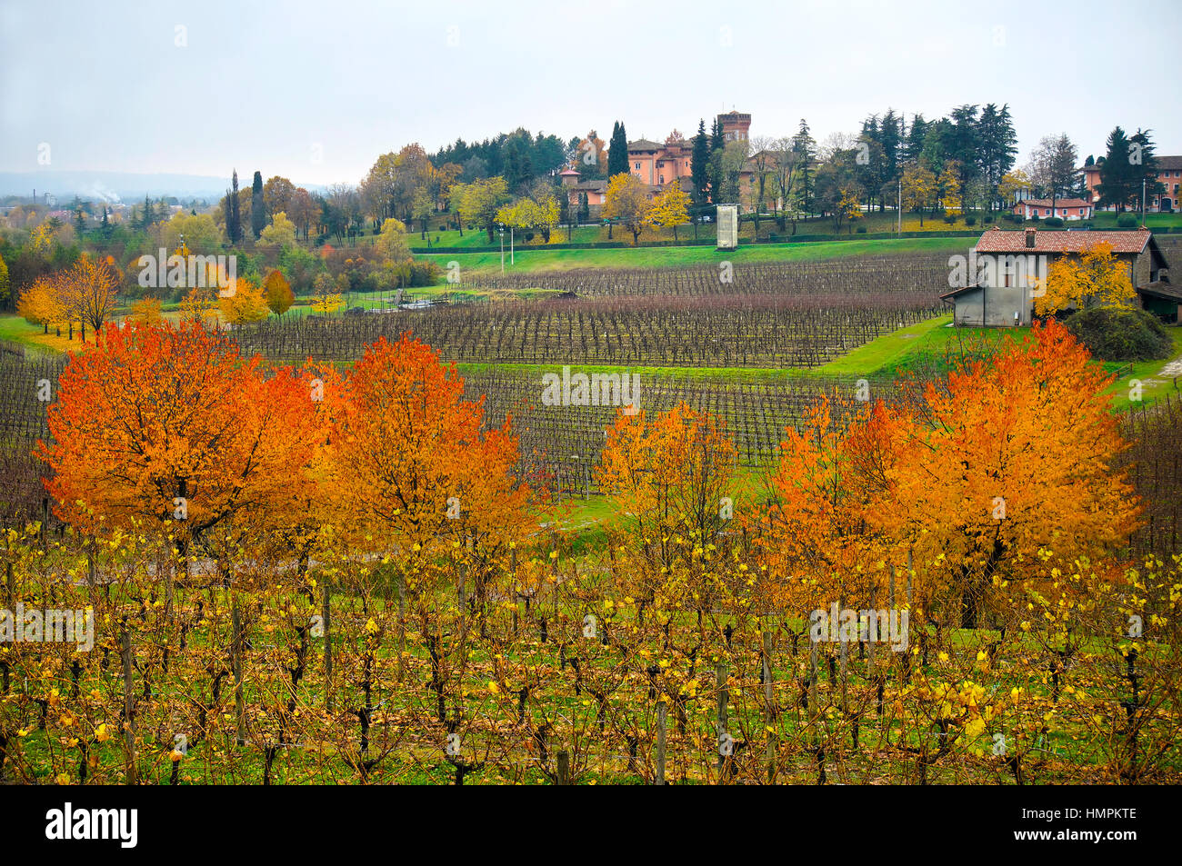 Collio region hi-res stock photography and images - Alamy