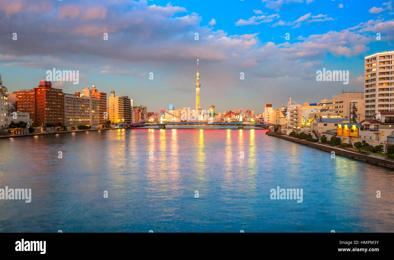 Skyline of Tokyo witj the Tokyo Skytree at blue hour. Japan Stock Photo ...