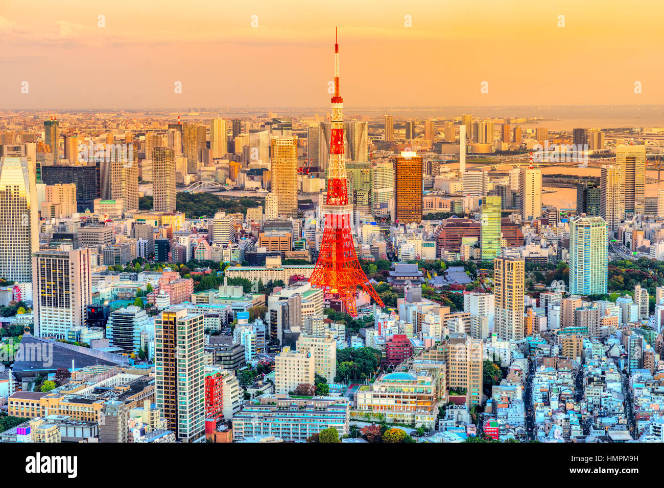 Skyline of Tokyo witj the Tokyo Tower at blue hour. Japan Stock Photo ...