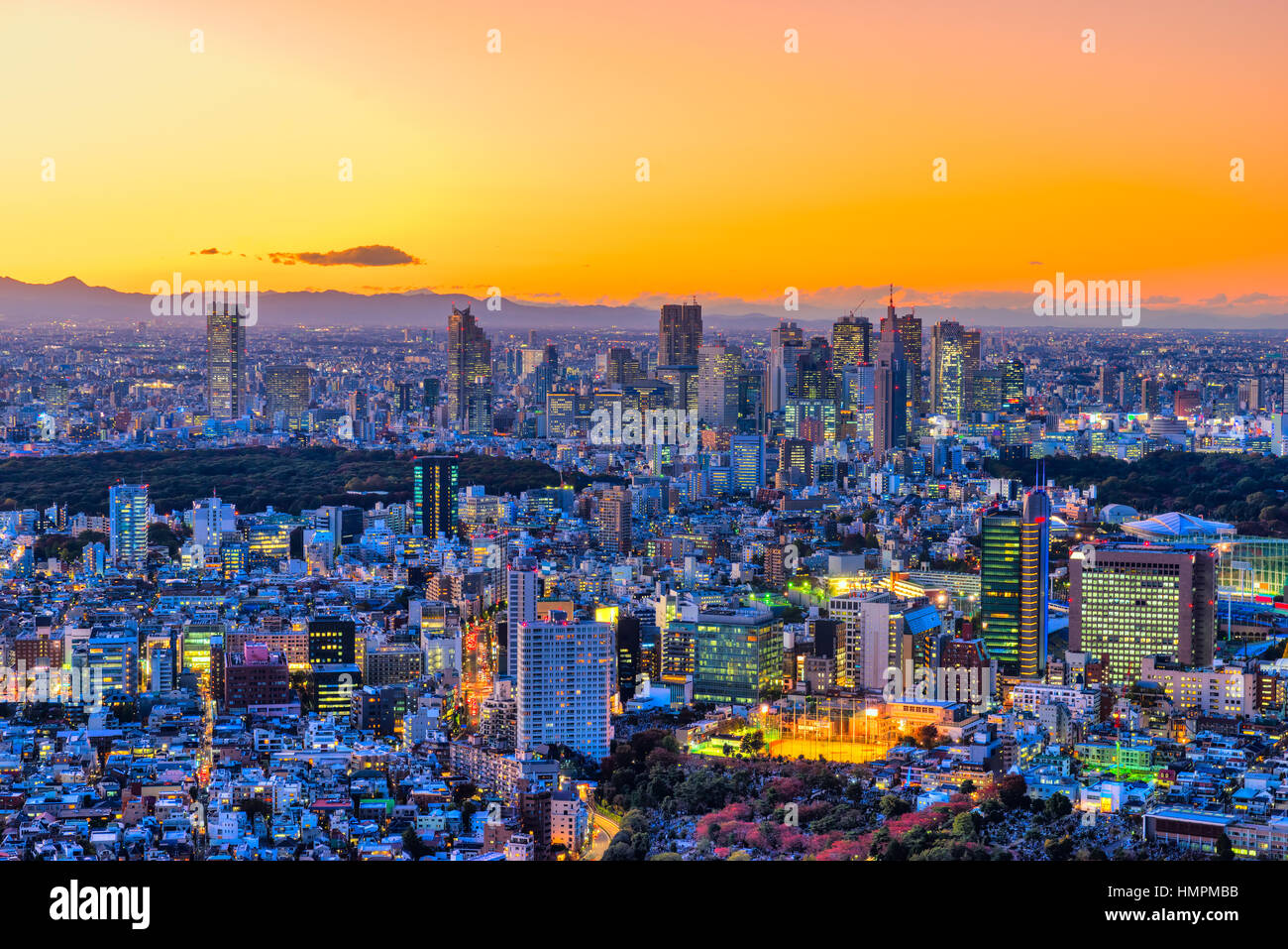 Skyline of Tokyo witj the Tokyo Tower at blue hour. Japan Stock Photo ...