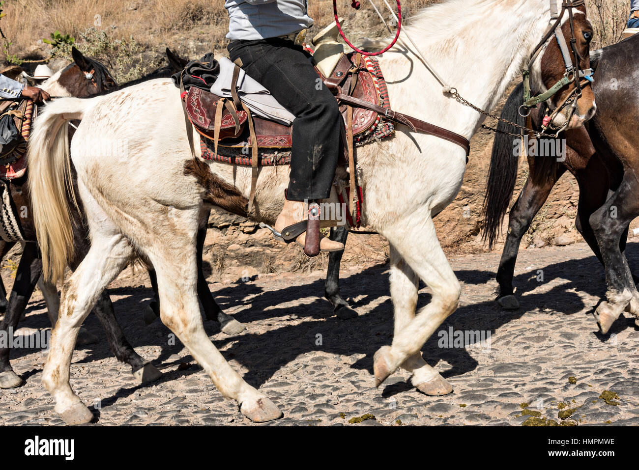 Three cowboys on horseback hi-res stock photography and images - Alamy
