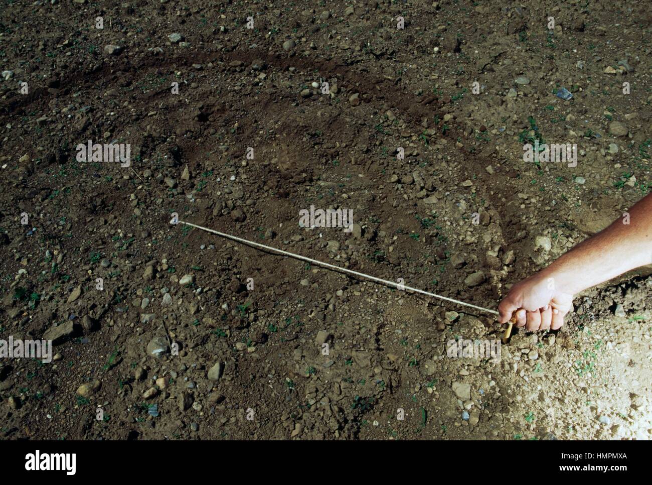 Delineate the outline of the hole.Planting a tree step 1 Stock Photo ...