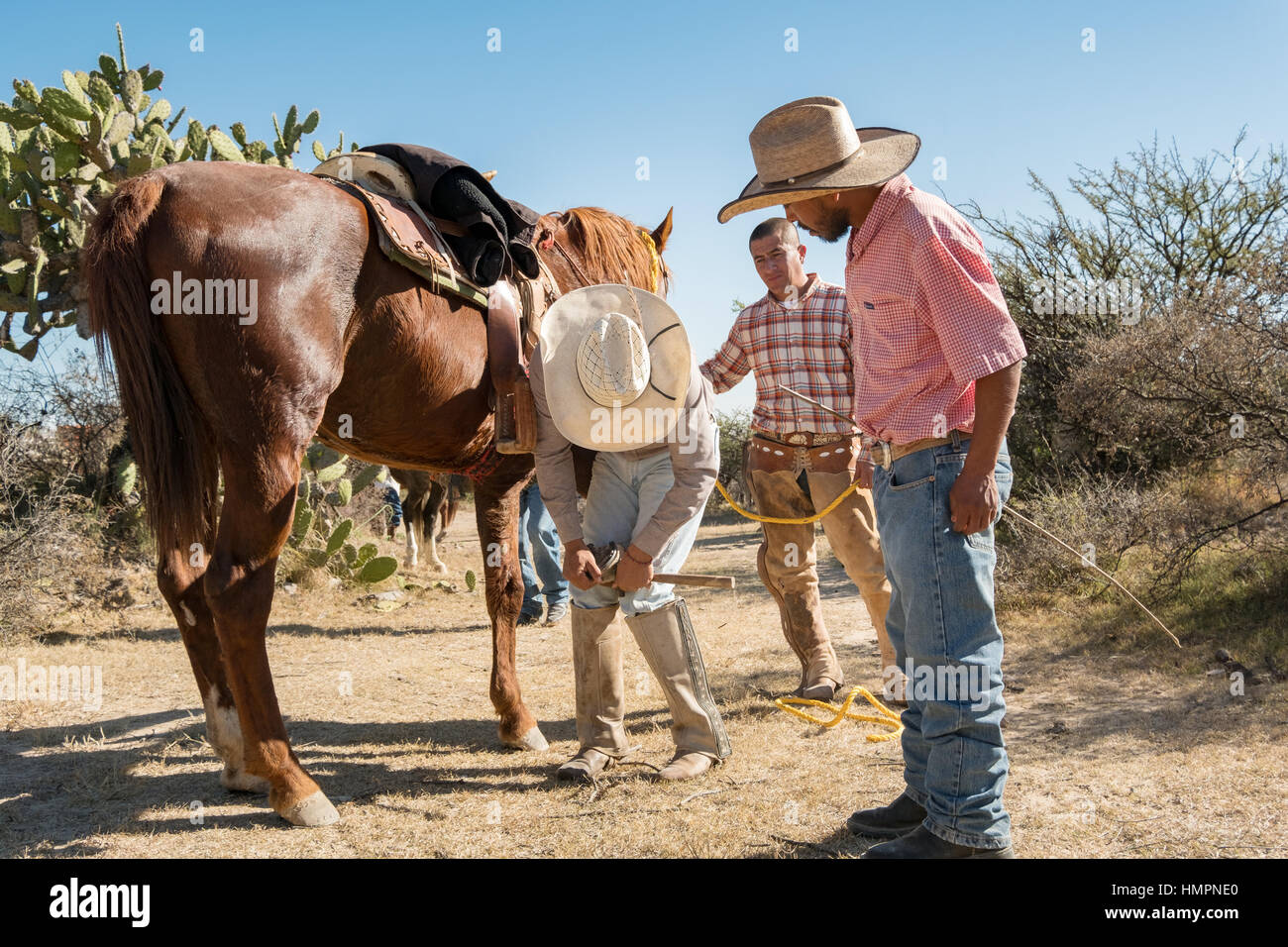 Mexican cowboys repair a horseshoe at a rest stop as they ride to join ...