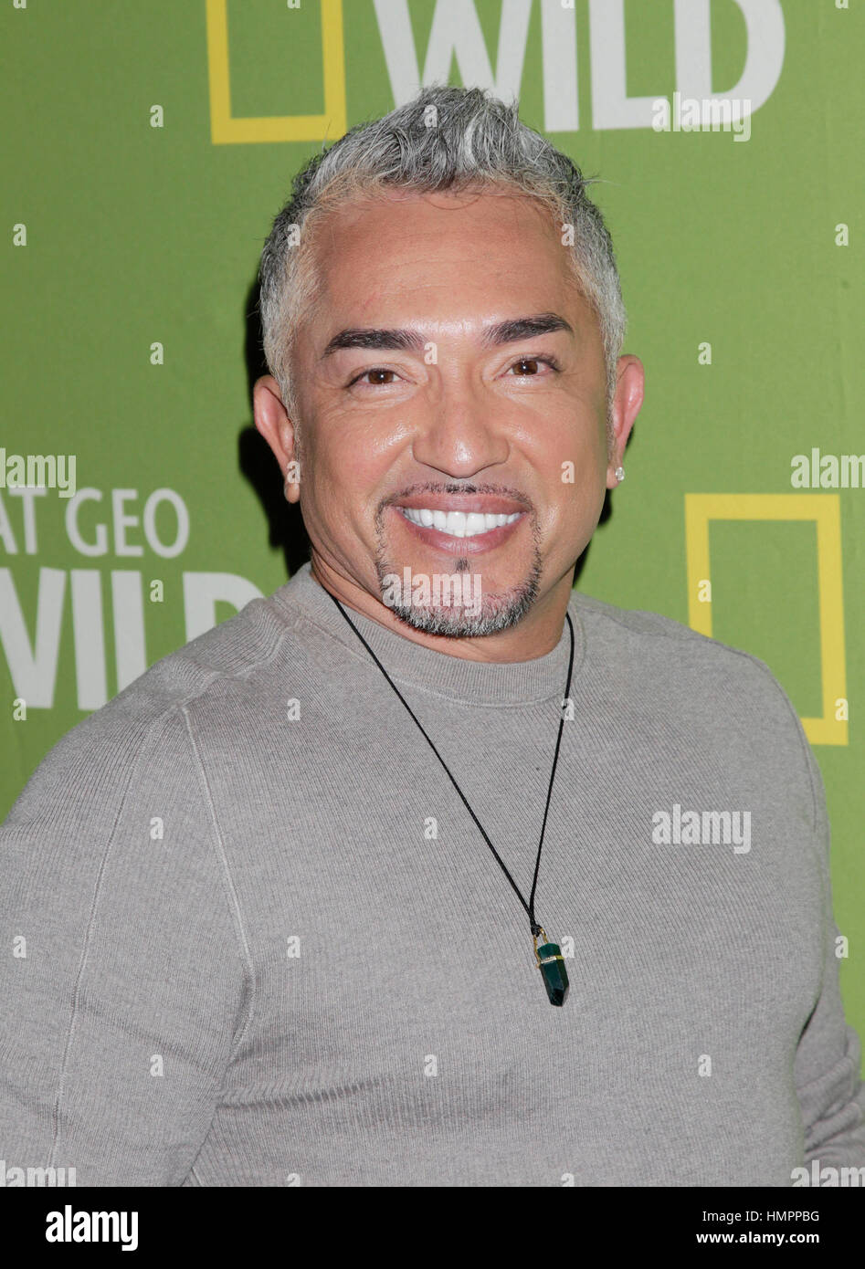 Cesar Millan arrives for the National Geographic Channel TCA Party on ...