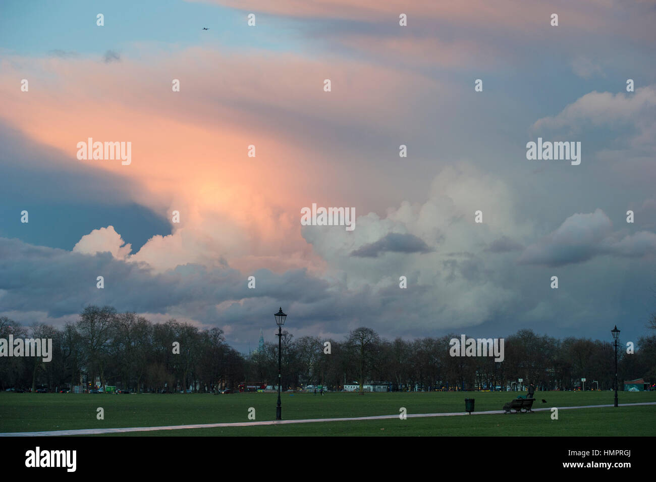 Trees storm cyclone raining hi-res stock photography and images - Alamy
