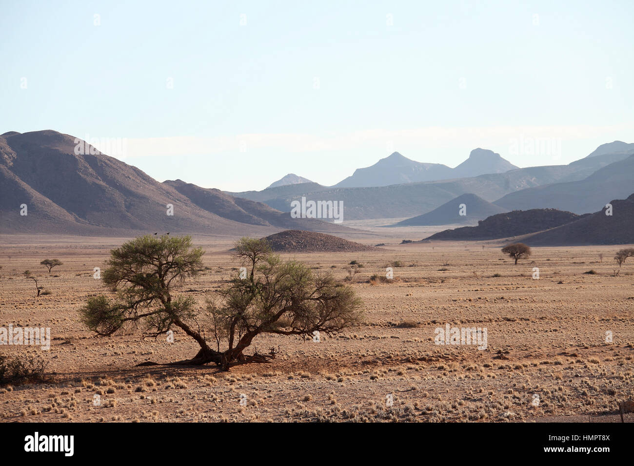 Landscape of the Namib Desert Stock Photo - Alamy