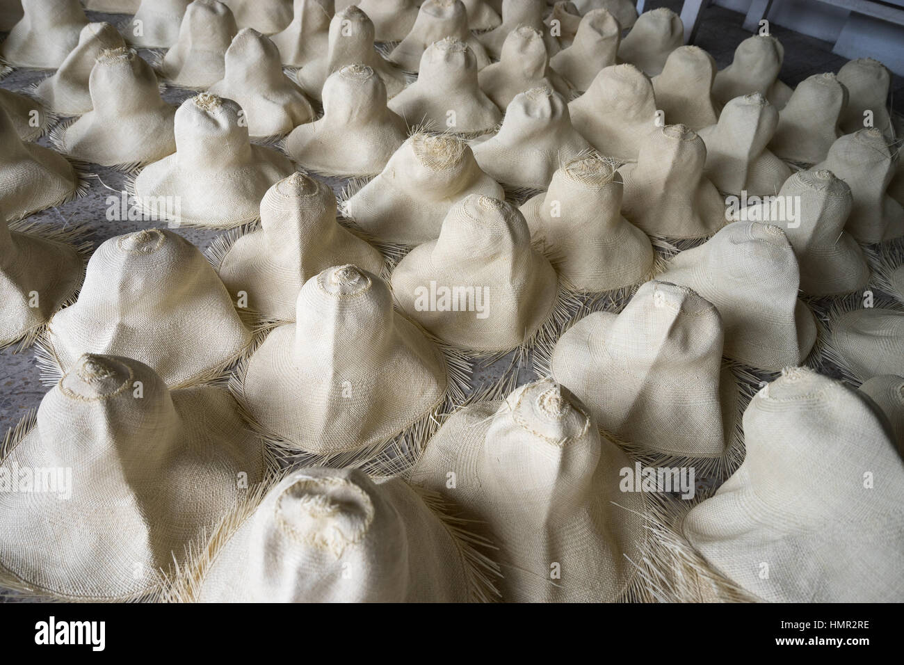 panama hats drying after the bleaching process Stock Photo - Alamy