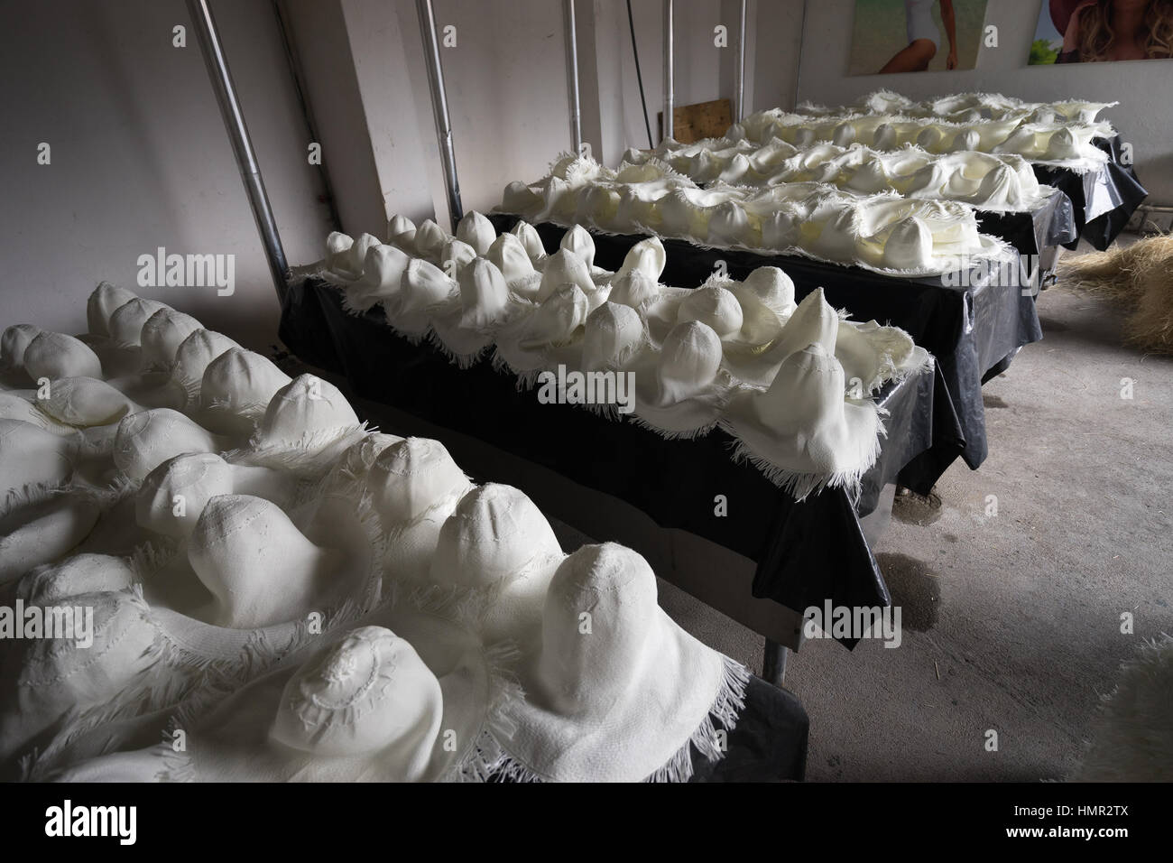 panama hats drying after the bleaching process Stock Photo - Alamy