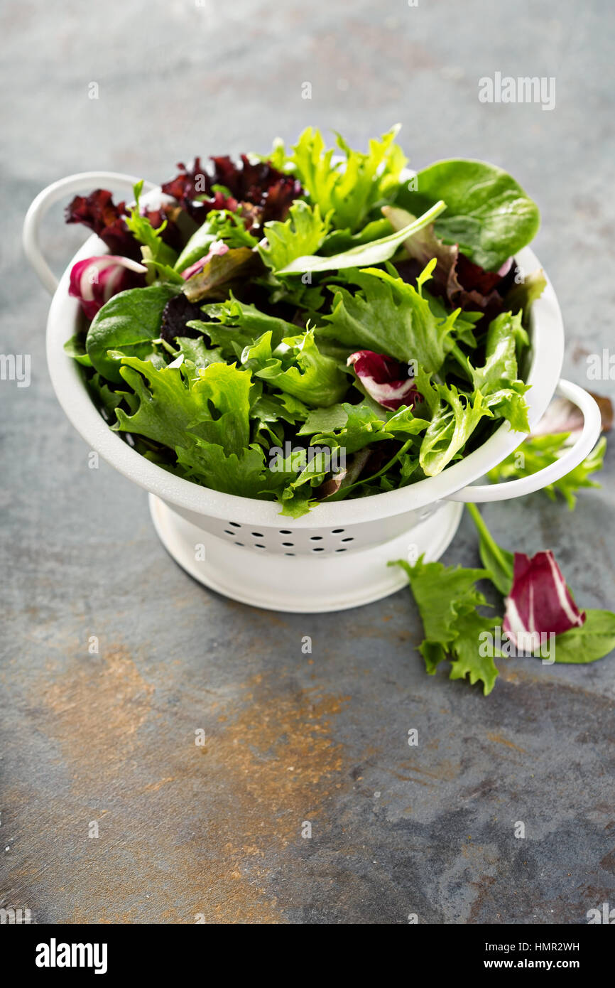 Fresh green spring mix salad leaves in a collander Stock Photo - Alamy