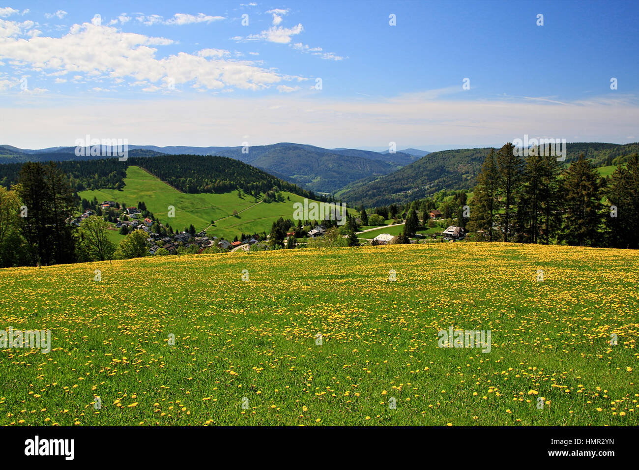 beautiful landscape in the Black Forest in Germany Stock Photo - Alamy