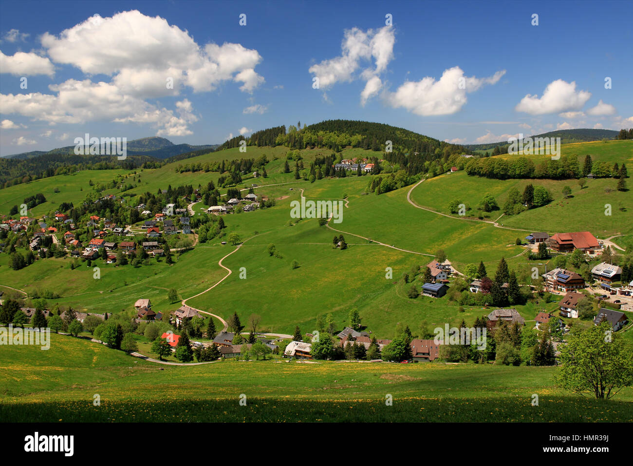 beautiful landscape in the Black Forest in Germany Stock Photo - Alamy