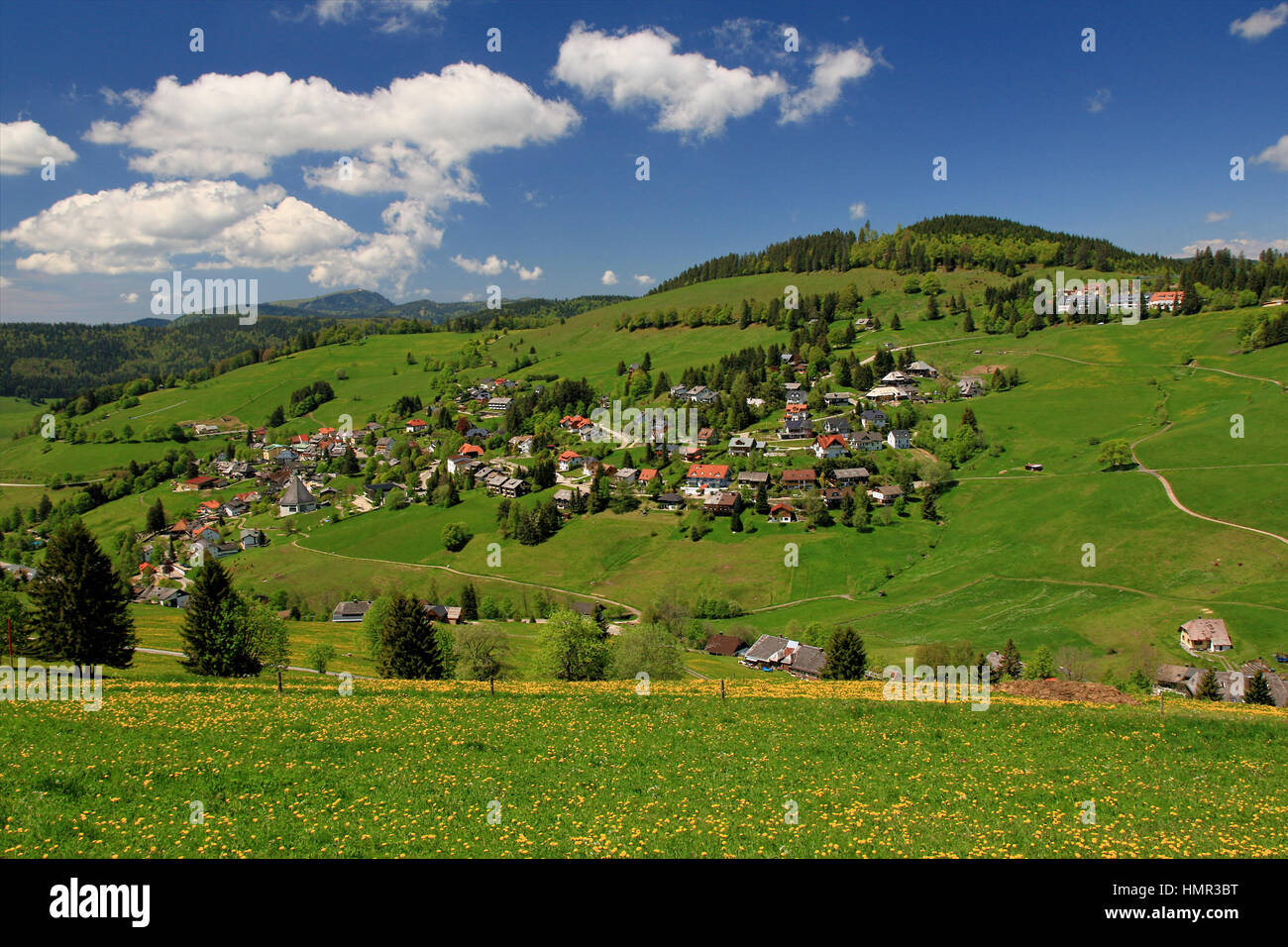 beautiful landscape in the Black Forest in Germany Stock Photo - Alamy