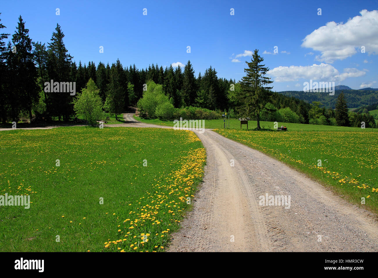 beautiful landscape in the Black Forest in Germany Stock Photo - Alamy