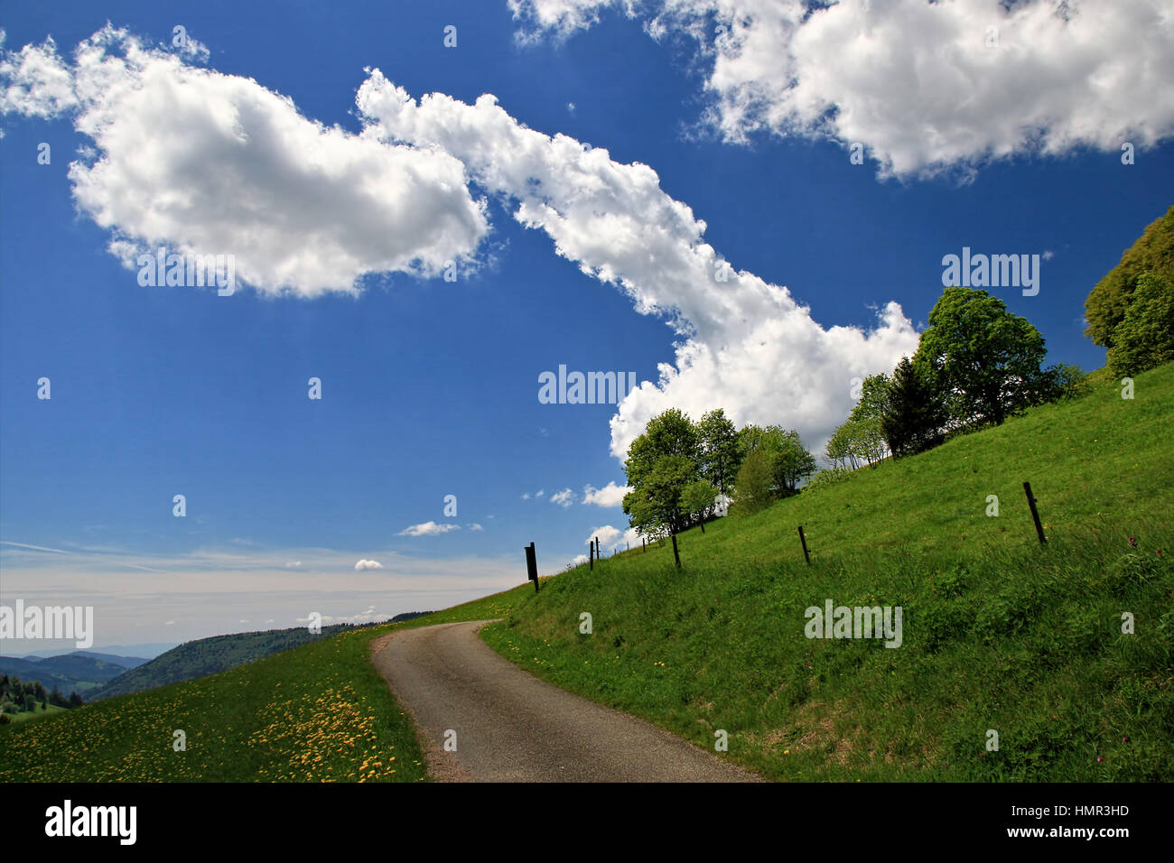 beautiful landscape in the Black Forest in Germany Stock Photo - Alamy