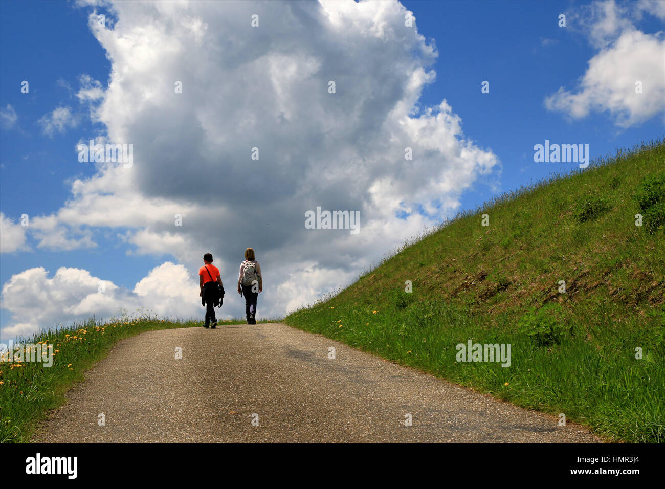 hiking through beautiful nature and landscape in the Black Forest in ...