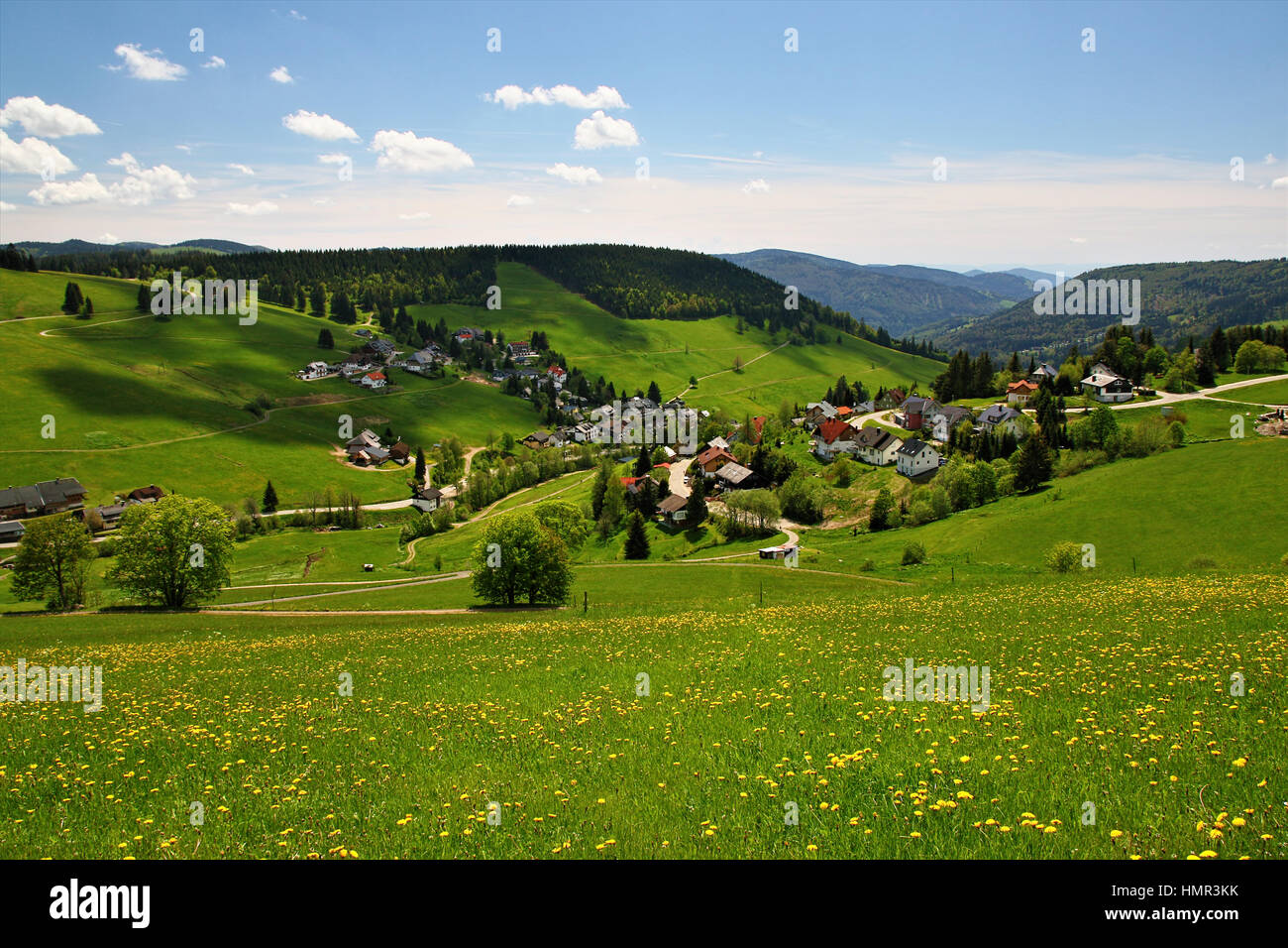 beautiful landscape in the Black Forest in Germany Stock Photo - Alamy