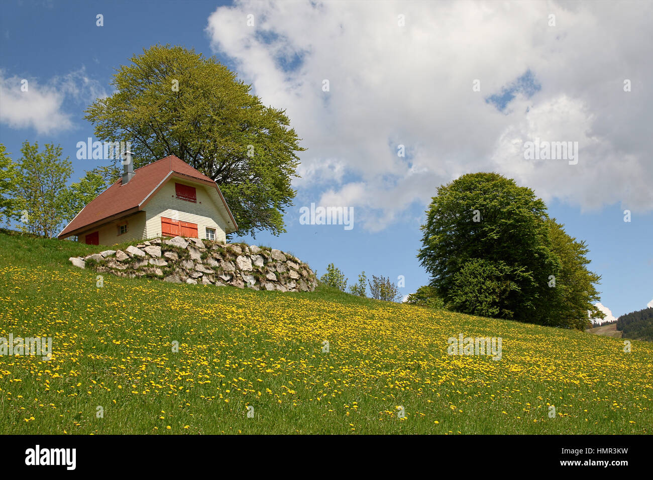Martin heidegger hi-res stock photography and images - Alamy