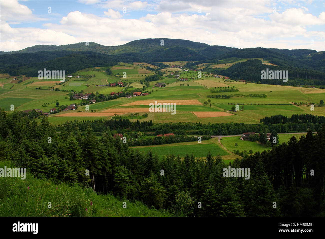 beautiful landscape in the Black Forest in Germany Stock Photo - Alamy