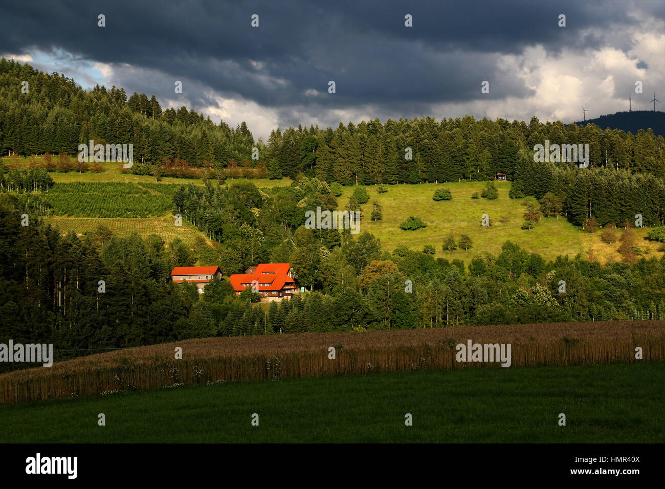beautiful landscape in the Black Forest in Germany Stock Photo - Alamy