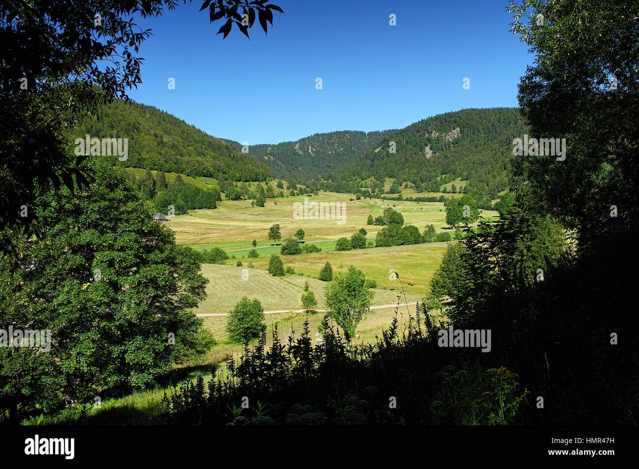 hiking through beautiful nature and landscape in the Black Forest in ...