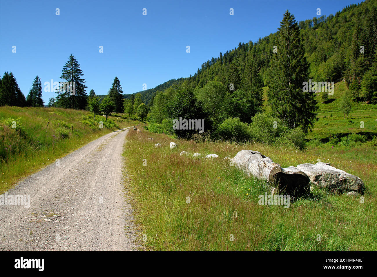 beautiful landscape in the Black Forest in Germany Stock Photo - Alamy