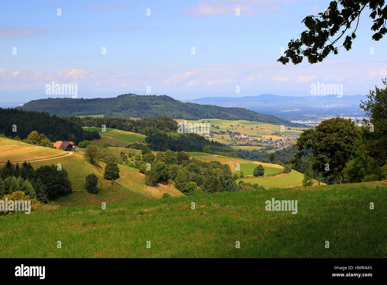 beautiful landscape in the Black Forest in Germany Stock Photo - Alamy