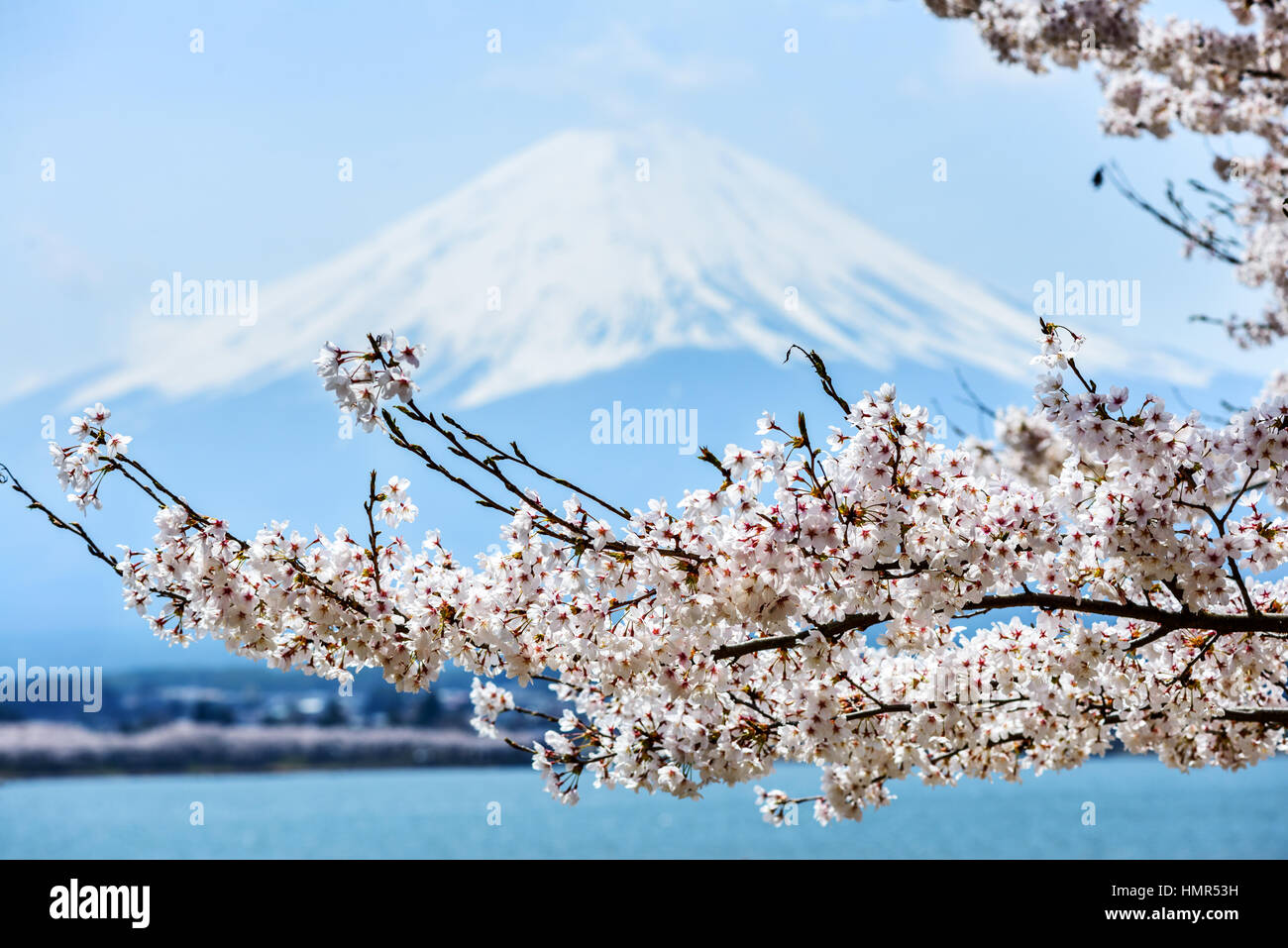 Fuji white hi-res stock photography and images - Alamy