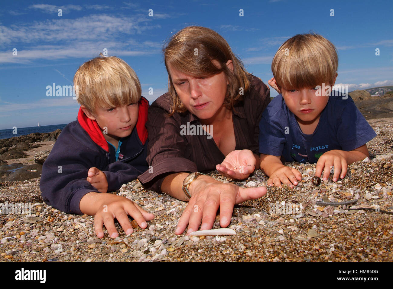 Cowrie shell uk hi-res stock photography and images - Alamy