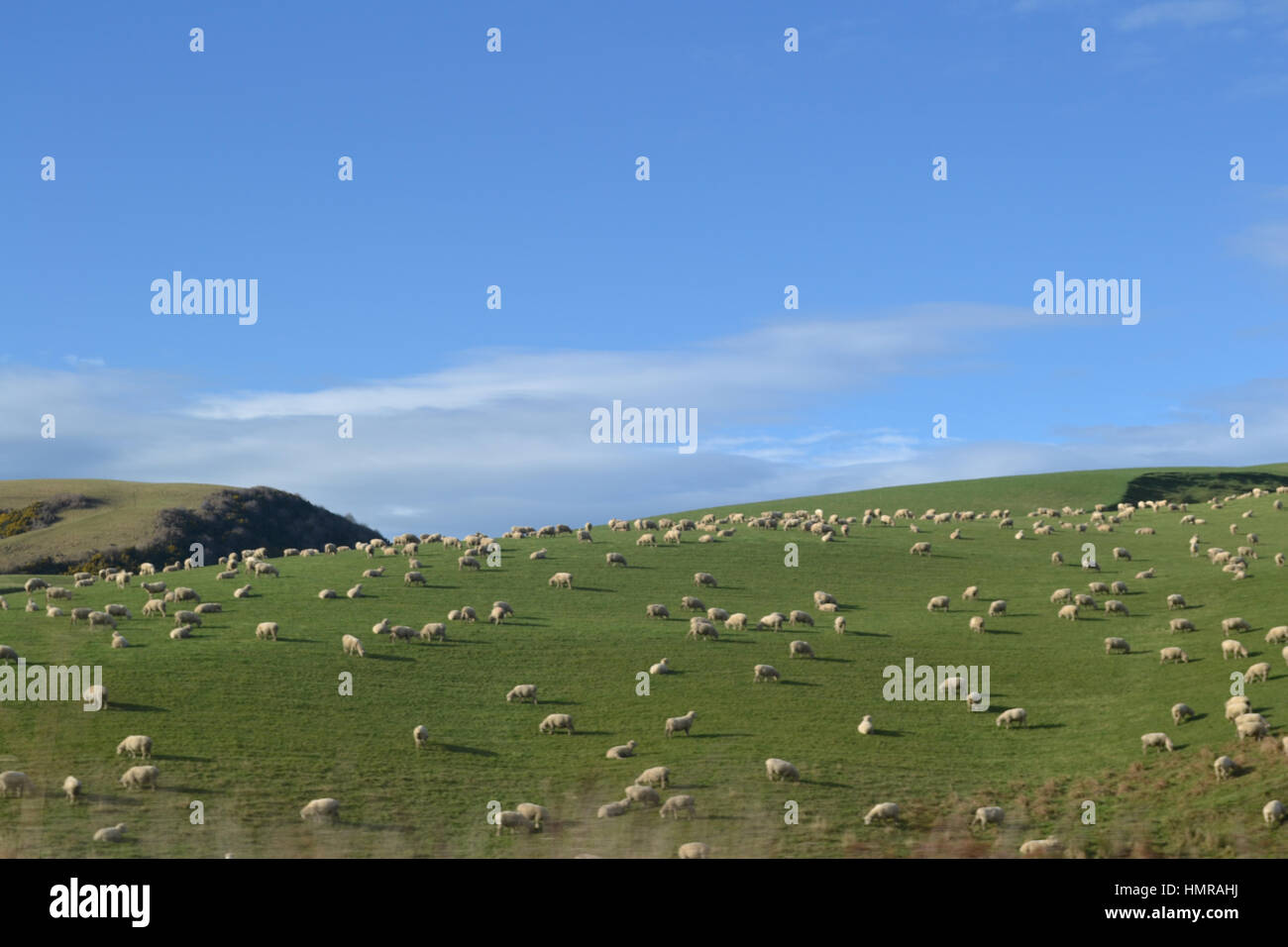 The classic new zealand hi-res stock photography and images - Alamy