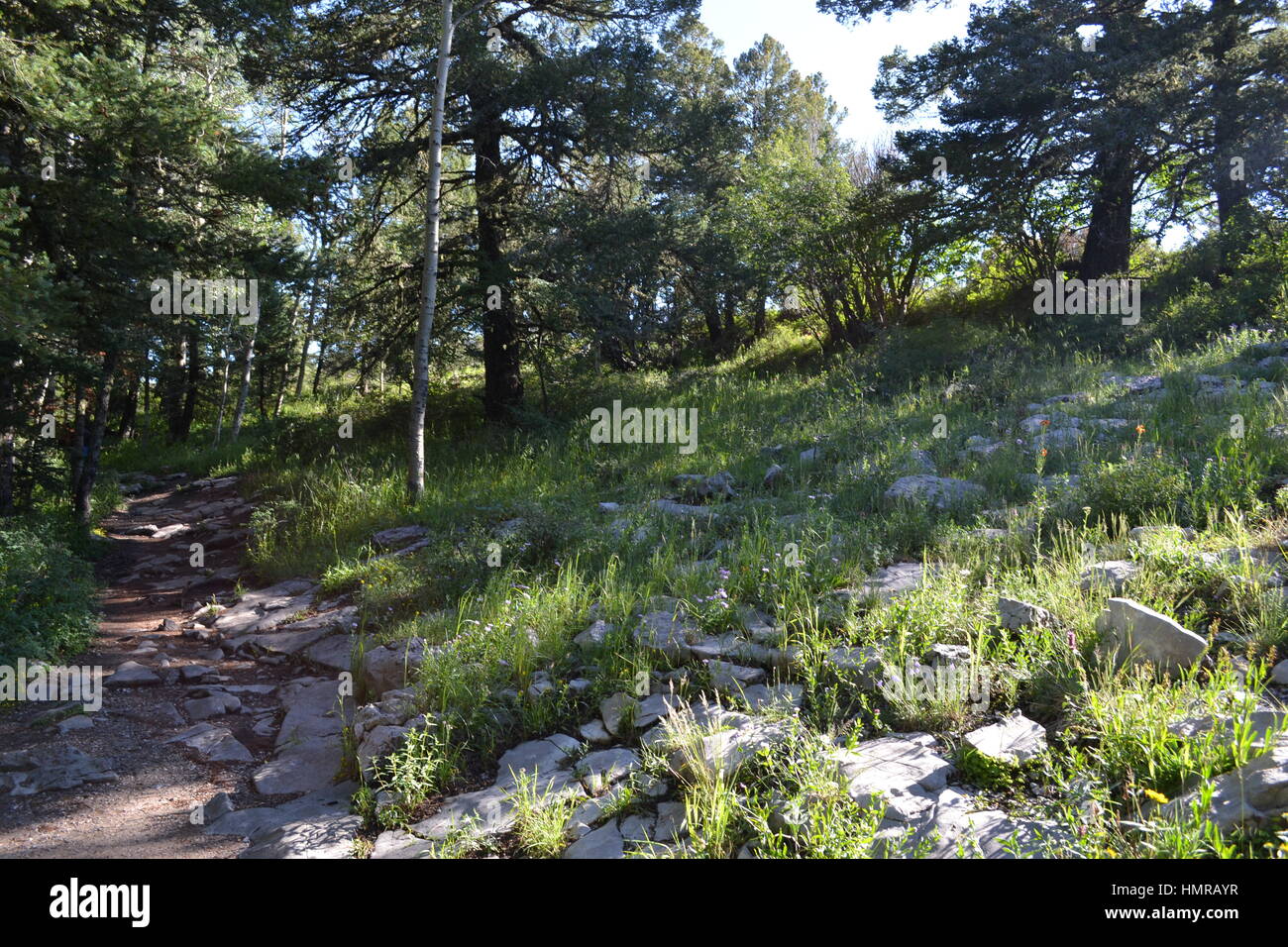 Silent trail hi-res stock photography and images - Alamy